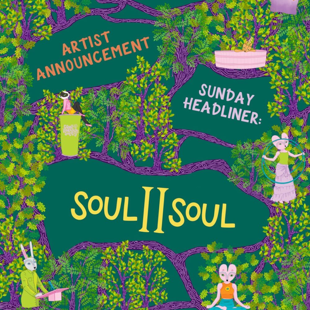 Good Vibrations Society Festival - Good Vibrations Society Festival